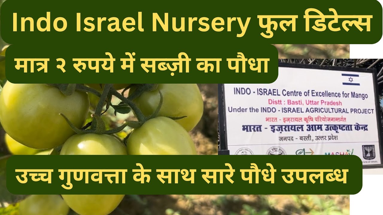 INDO ISRAEL Nursery Gotwa Basti - YouTube