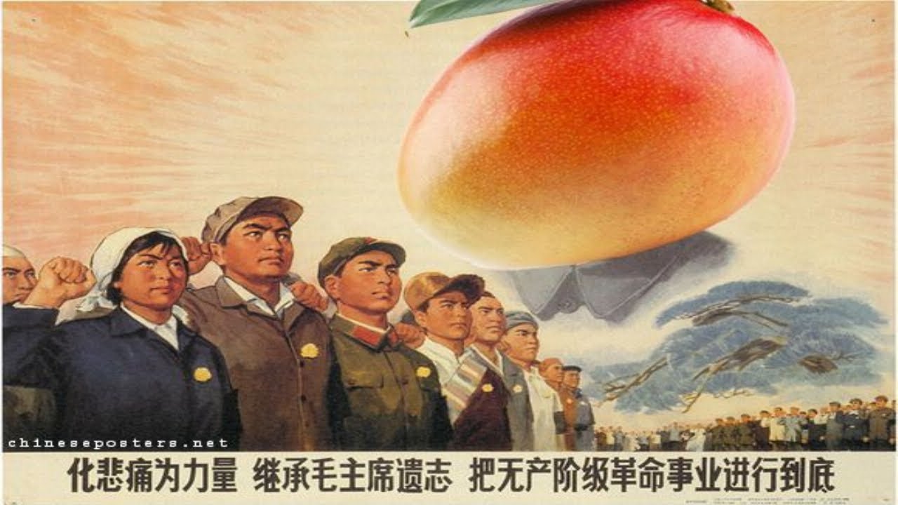 Communist China's Mango Cult Explained - YouTube