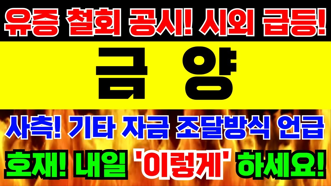 금양 주가전망 🚨긴급속보🚨유증 철회 공시 시외 급등 사측 기타 자금 조달 방식 언급 난리났다 호재 내일 이렇게 하세요 블록딜 세력 평단 2만 곧 올린다