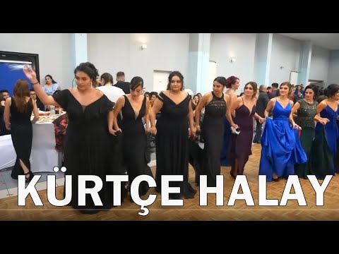 Kürtçe Şarkı Hareketli Halay Müzikleri Potpori Ağır Delilo Grani 2021 Düğün Müzikleri