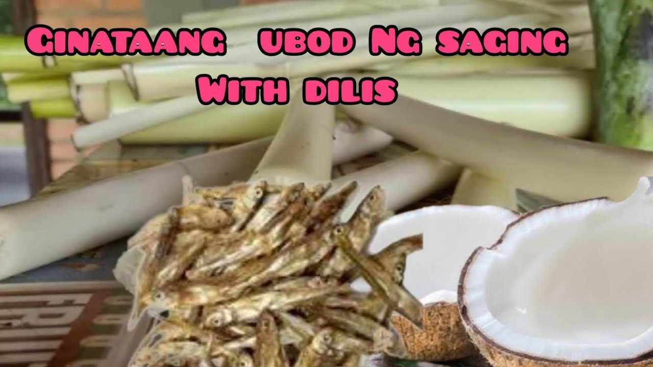 GINATAANG UBOD NG SAGING WITH DILIS - YouTube