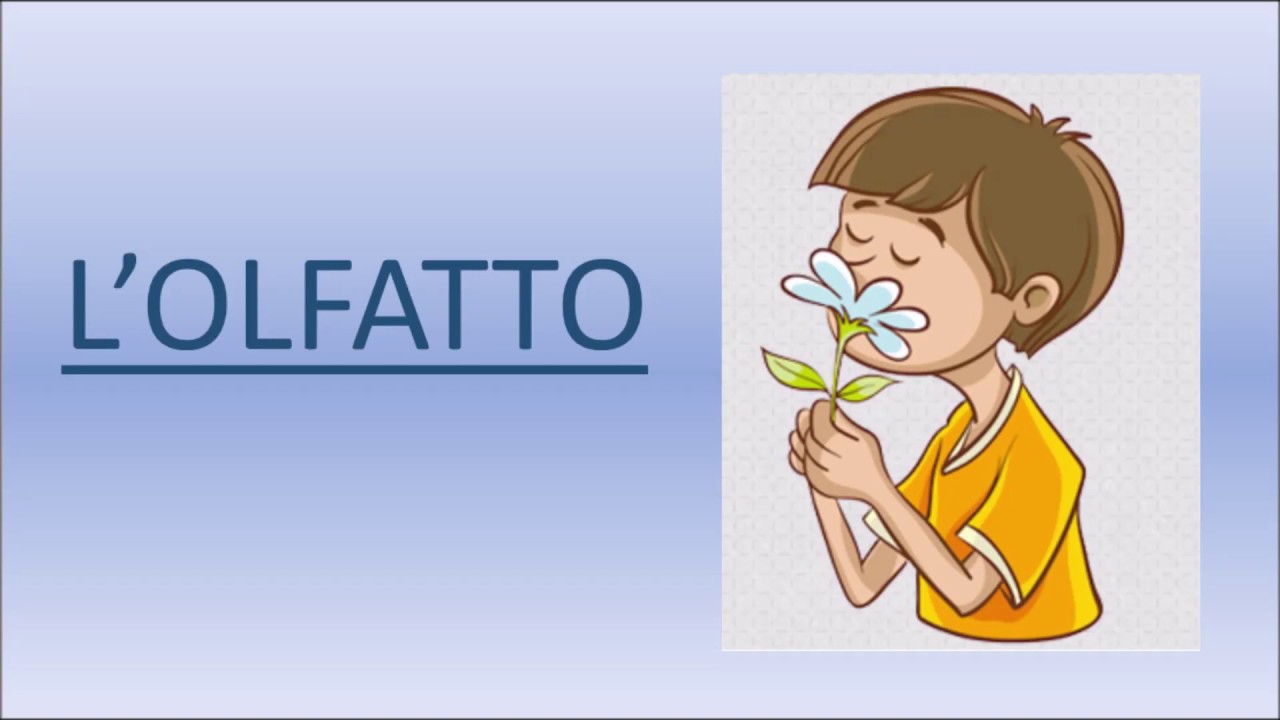 L'OLFATTO - YouTube