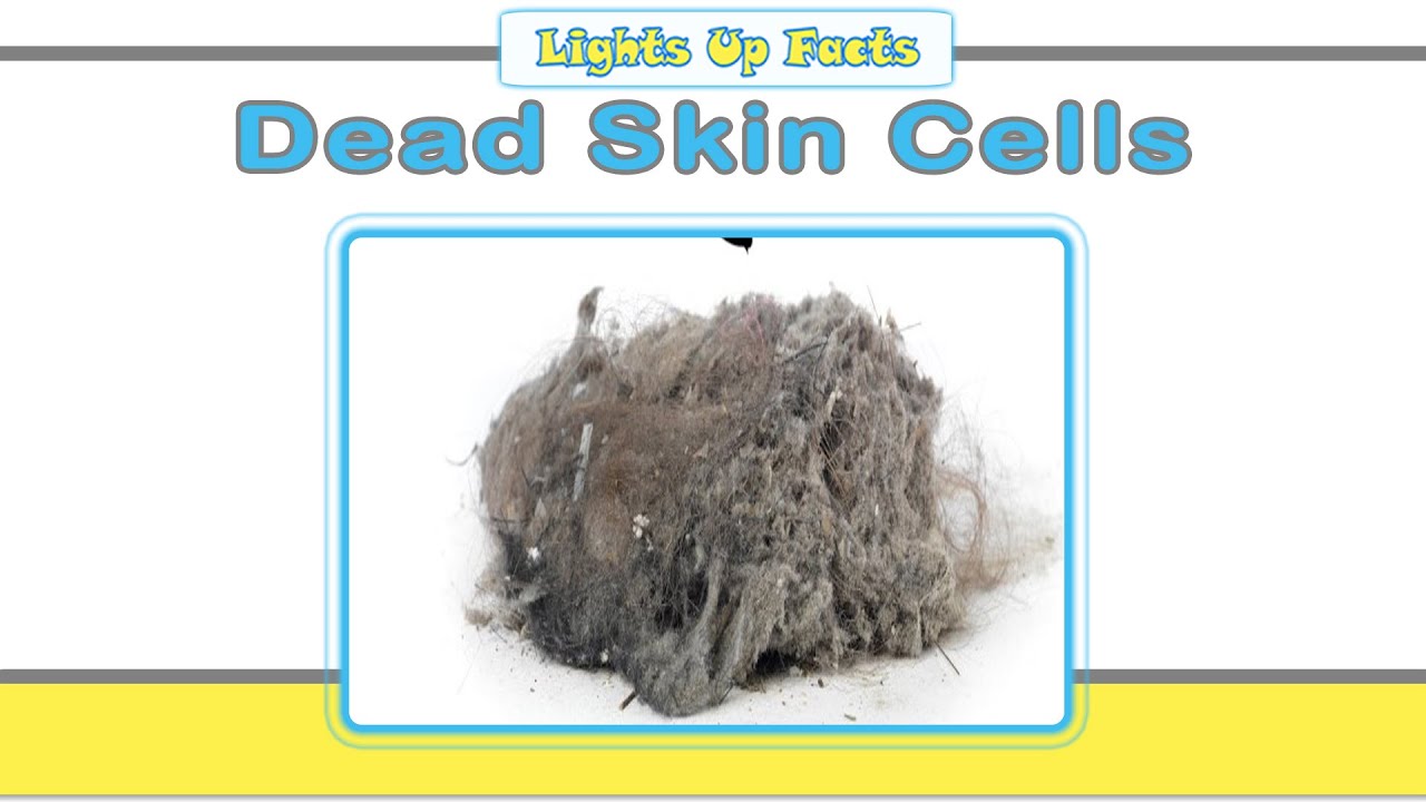 Should Know About Dead Skin Cells - YouTube