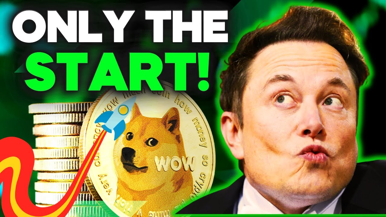 Dogecoin + Elon Musk = SUPER BULLISH? DOGE Explained - YouTube