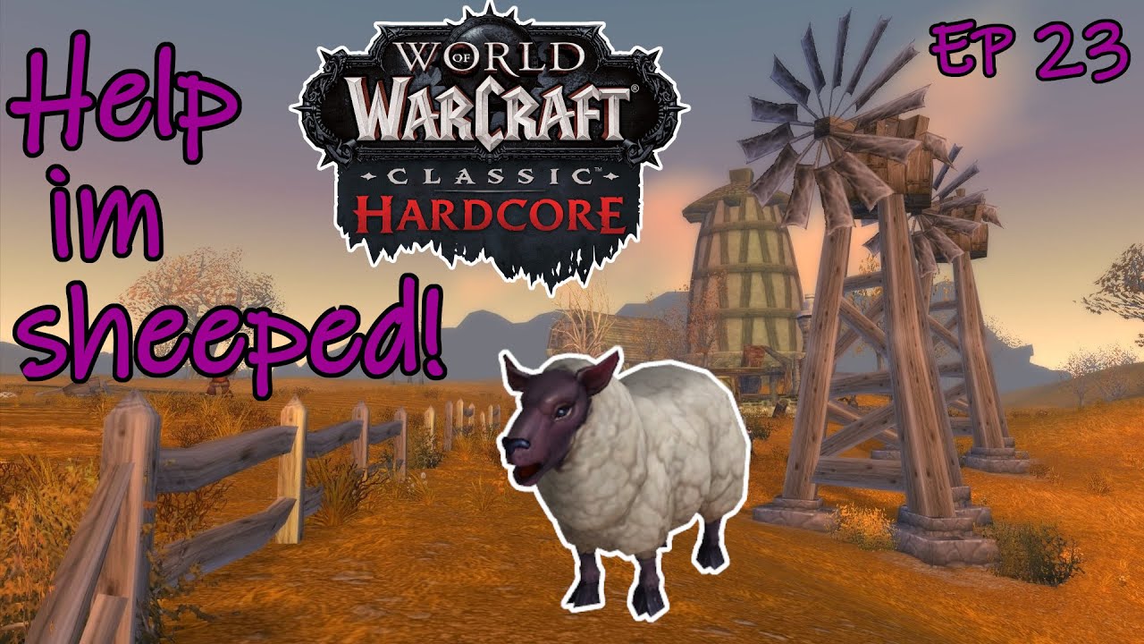 Help im sheeped - Hardcore SF Warlock Episode 23 - YouTube