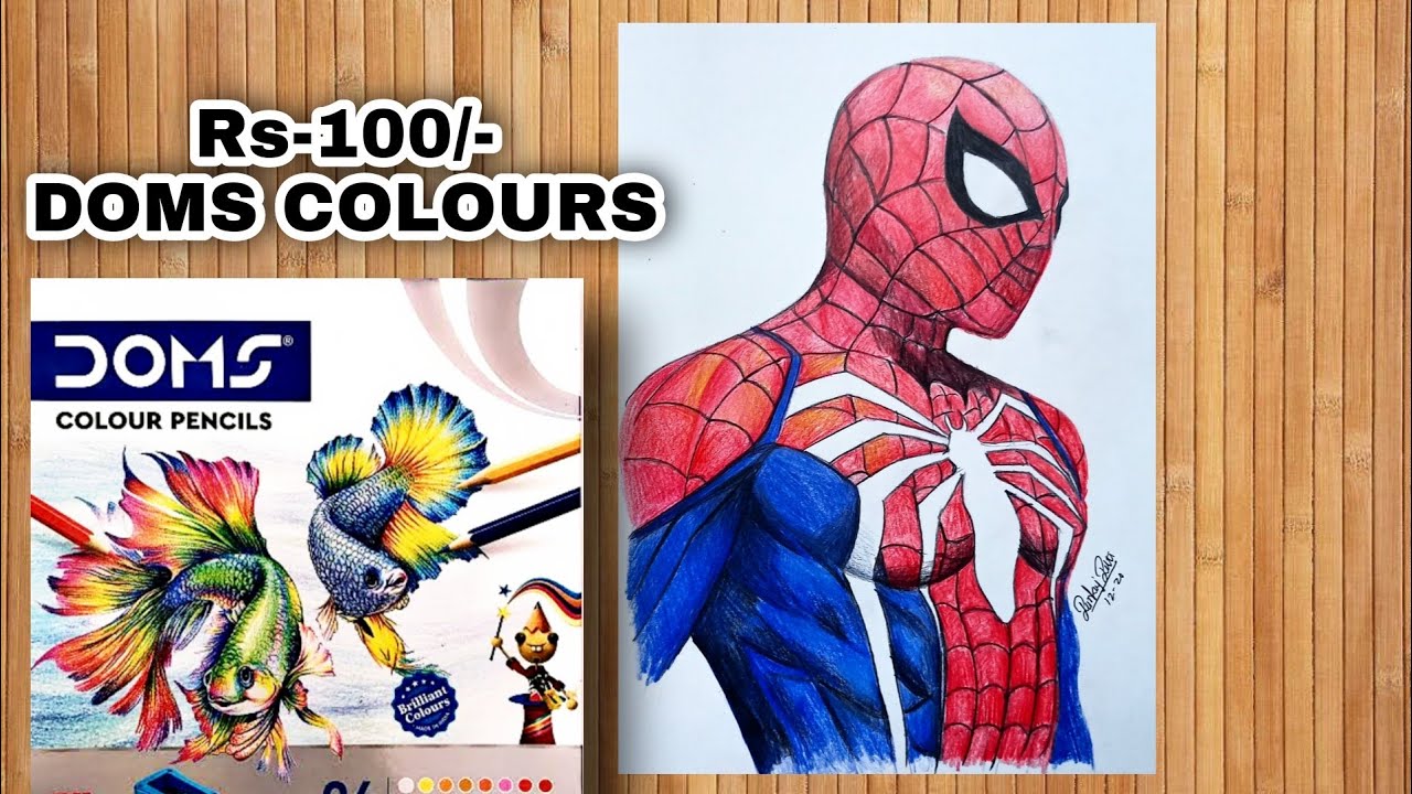 Doms Colour Pencil Drawing |(₹100)Colour Drawing|Dom's Colours Review ...