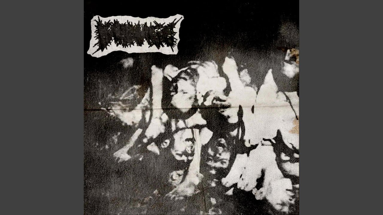 KARNAGE - you must have a small cawk to join ktg - YouTube