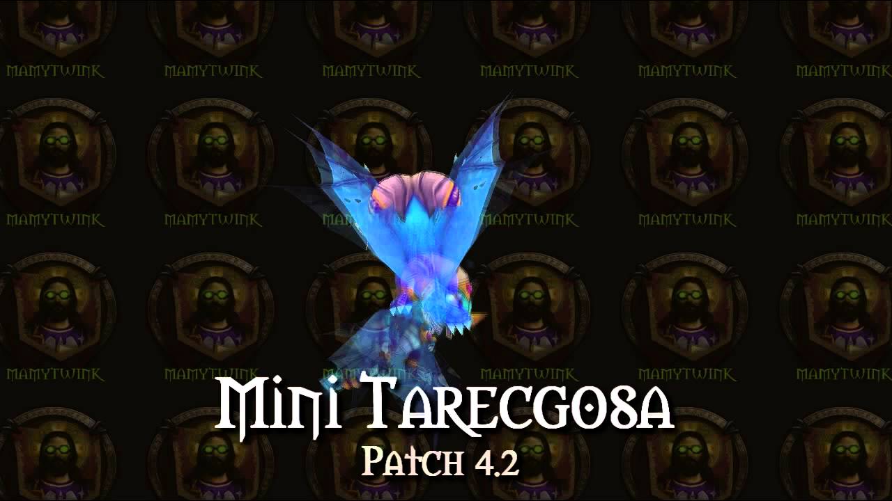 Mini Tarecgosa/Lil' Tarecgosa (Wow patch 4.2) - YouTube