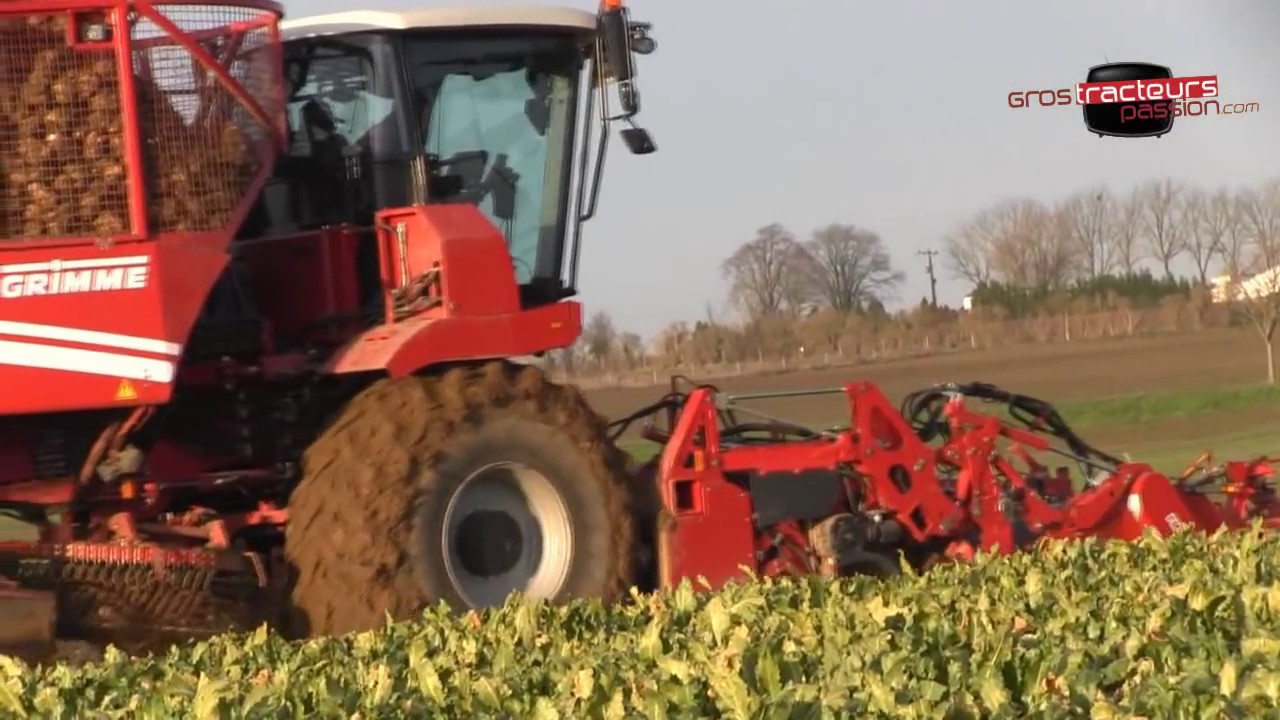 GRIMME Rexor 630 - Arracheuse à betteraves - YouTube