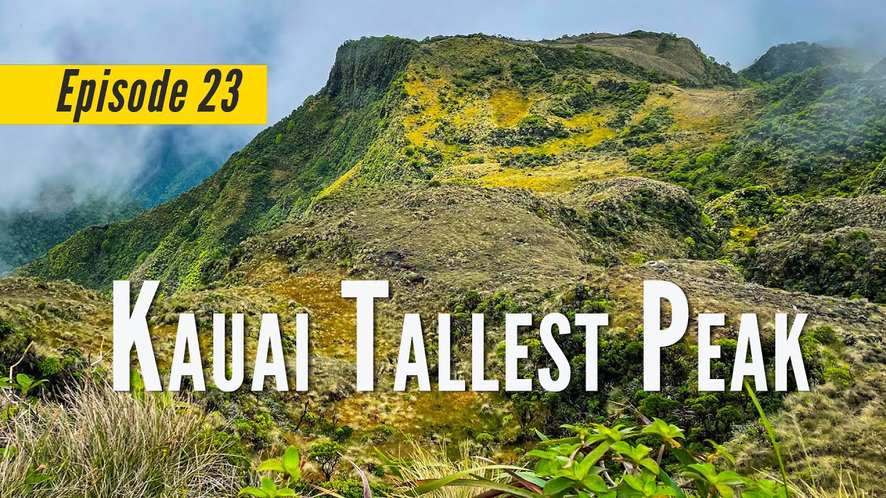 Hiking the Tallest Peak on Kauai: Kawaikini | Hawaii 100 Highest Peaks ...