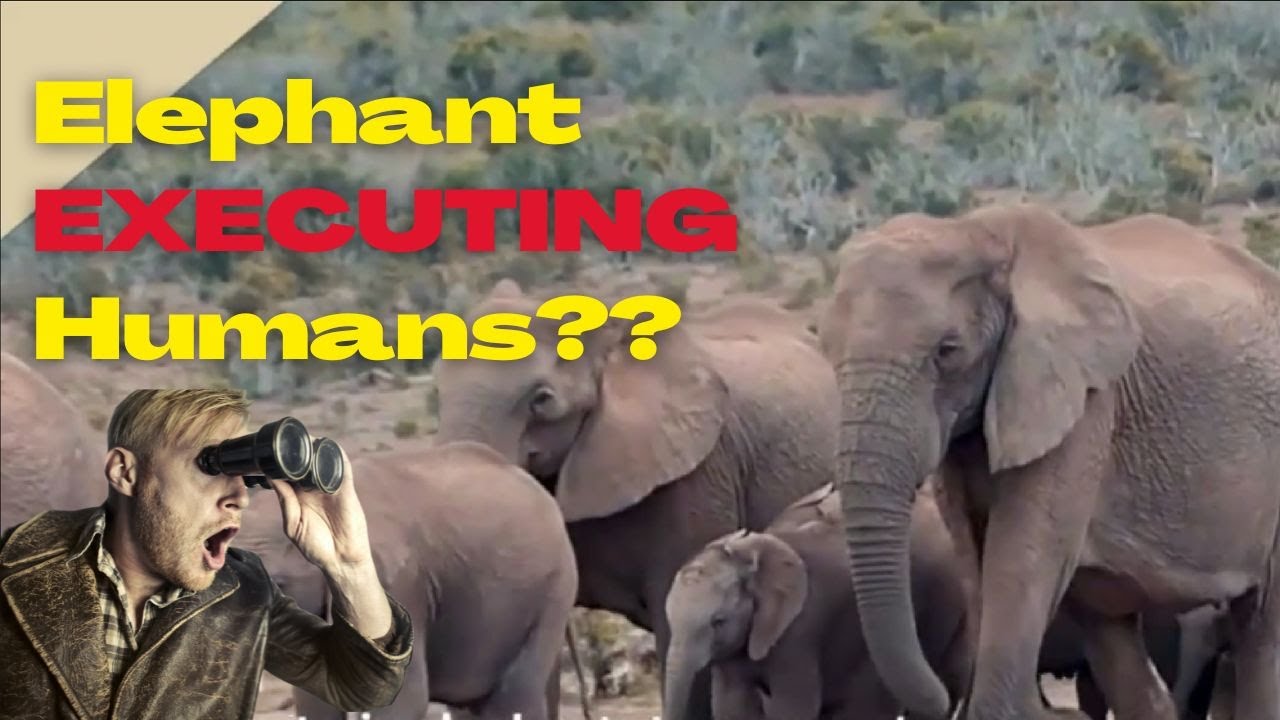 Death by elephant was a common method of execution in ancient Asia ...