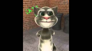 Video clip Talking Tom Cat