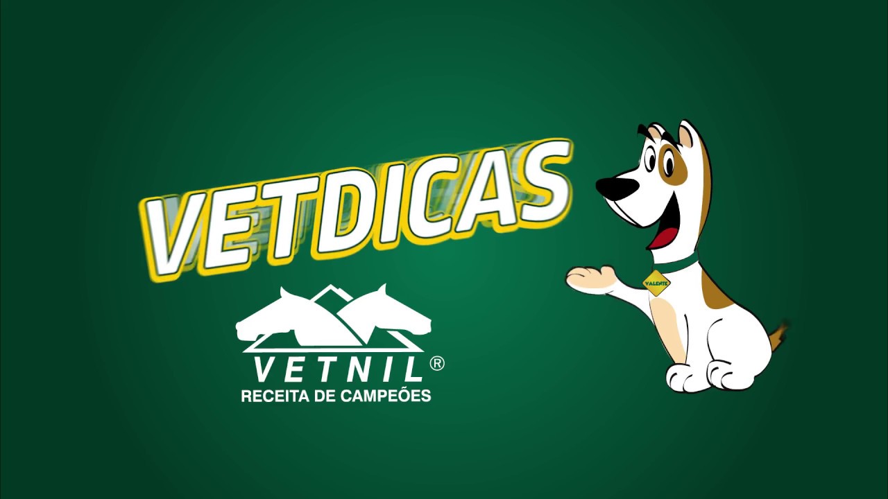 VetDicas Vetnil - Pelo e pelagem - YouTube