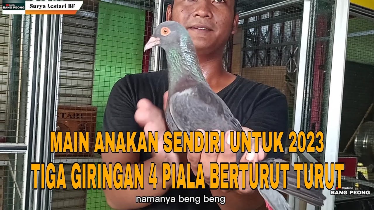 MAIN ANAKAN SENDIRI UNTUK 2023 I MADRID DARI BINTANG UTARA I KING KONG ...