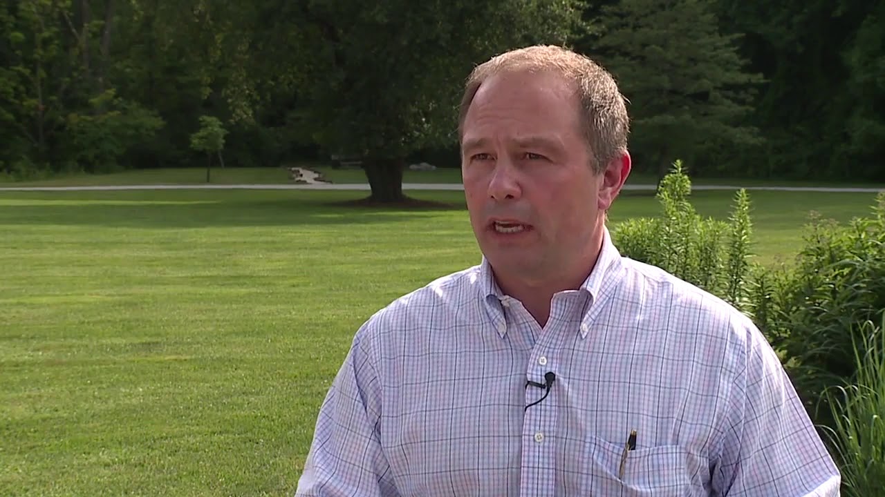 Cleveland's sparse tree canopy raises health concerns, stepped-up ...