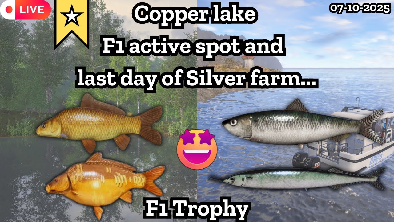 Copper lake active f1 spot | last silver farm | Russian fishing 4 ...