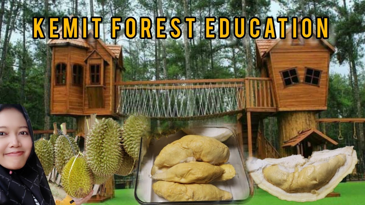 Wisata kemit forest cilacap pulangnya beli durian montong || cara ...