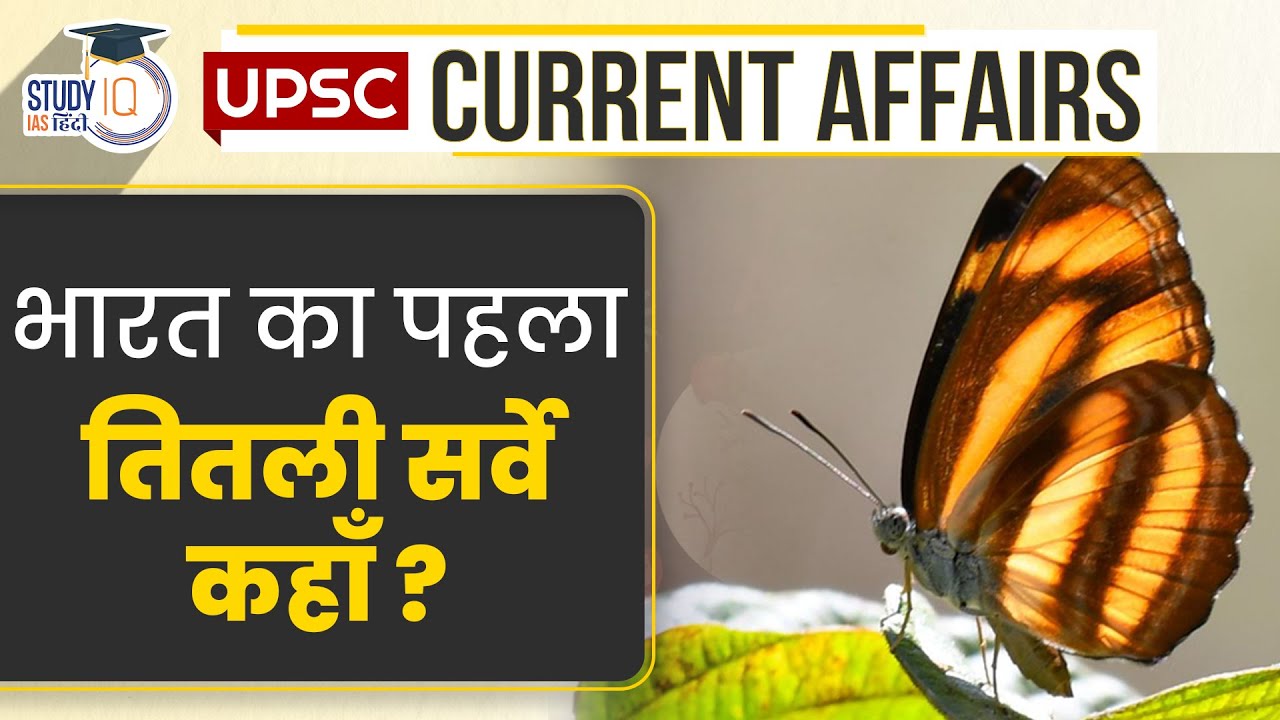 First-Ever Butterfly Survey | Daily Current Affairs | Current Affairs ...