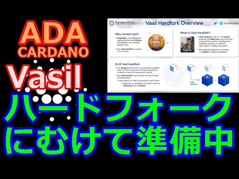 【カルダノADA 10万円勝負!】20220824 第1252話 Vasilハードフォークにむけて準備中 893,743円（+793.7％） - YouTube