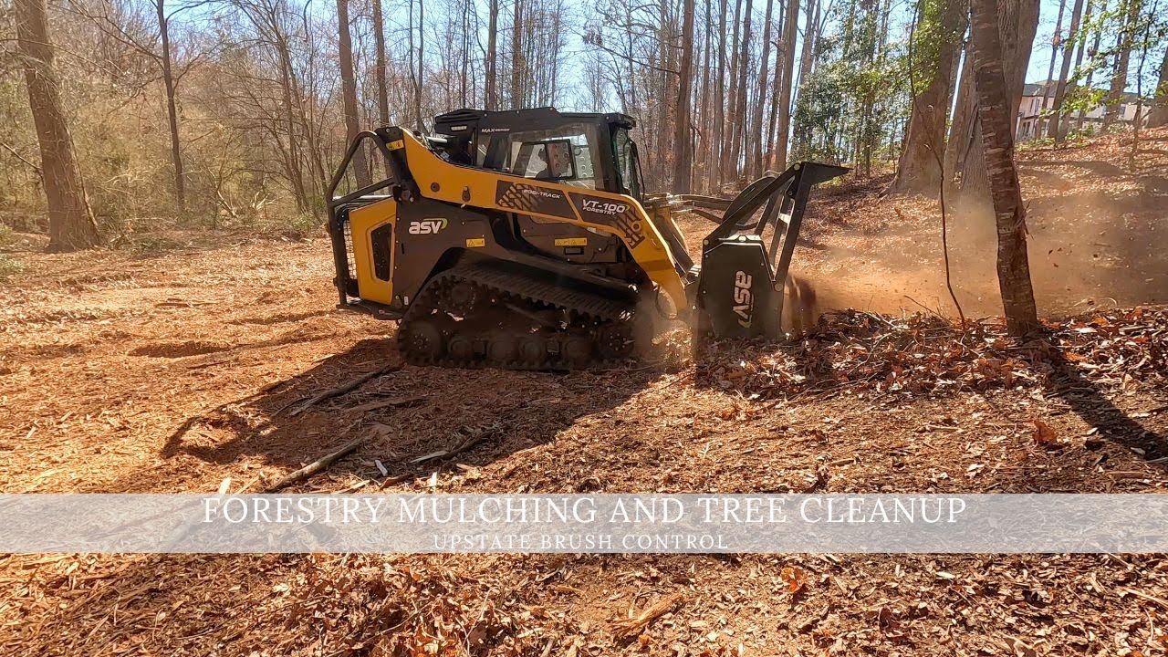 Forestry Mulching And Tree Cleanup - YouTube