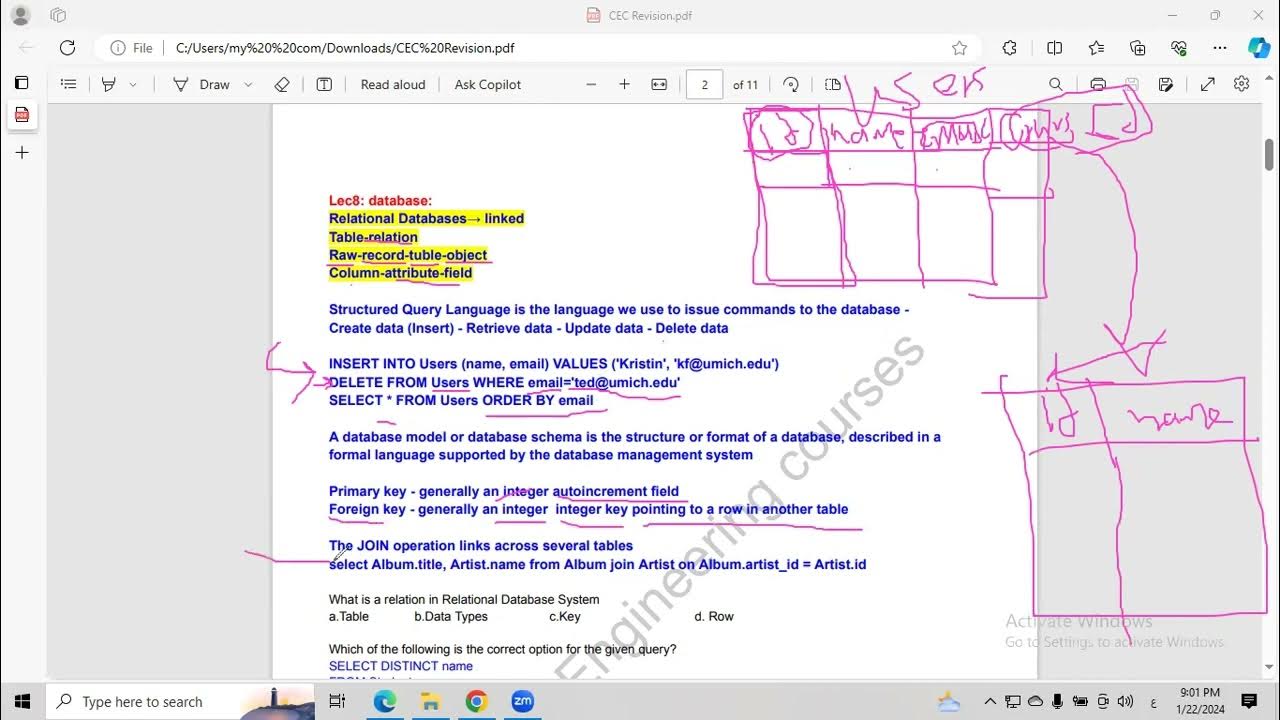 LECTURE 8- database revision - YouTube
