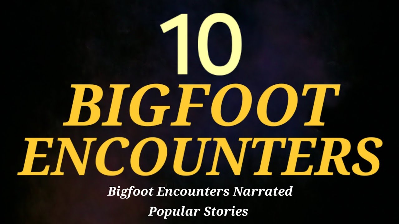 10 BIGFOOT ENCOUNTERS - BIGFOOT ENCOUNTERS NARRATED POPULAR STORIES ...