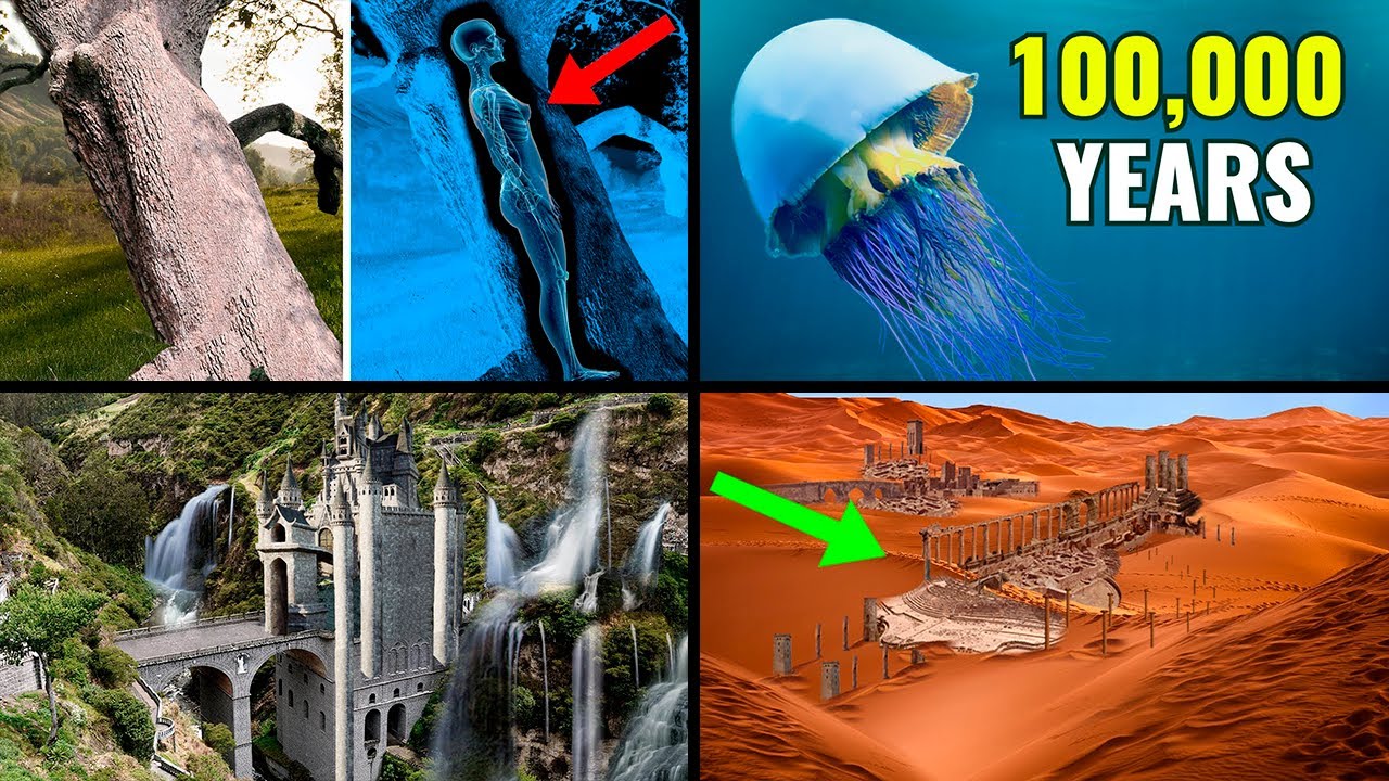 Most Mysterious & Amazing Recent Finds | ORIGINS EXPLAINED COMPILATION ...