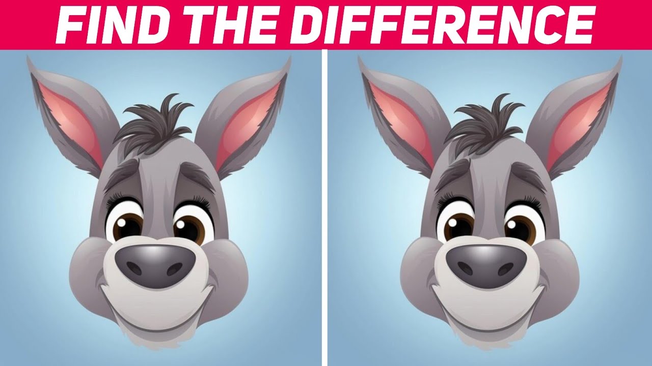Spot The Difference : Can You Find Them All ? [Find the difference] #22 ...