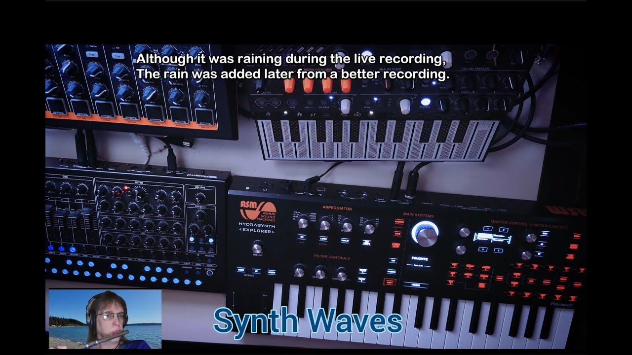 Synth Waves - Wendelyn Music - SH4D, Hydrasynth Explorer, Microfreak ...