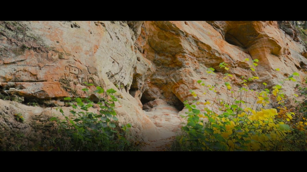 The Nature | Cinematic movie | Nature videos | B-roll | Videography ...