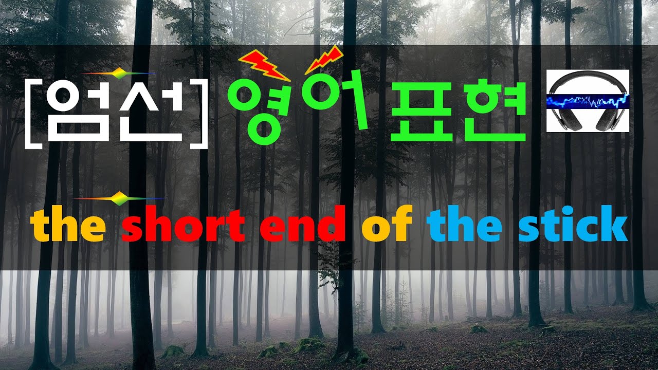 get the short end of the stick 무슨 뜻?! 실제 원어민 발음은 어떨까? (+ 이 외 보너스 표현) l ...
