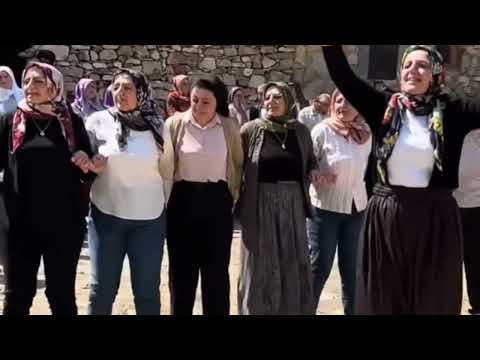 Halay Oynayan Kadınların Renkli ve Coşkulu Anları #halay #kurdish #kurtce #düğün  #gelin  #halaybasi