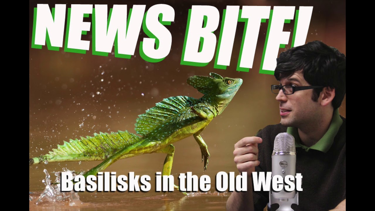 PAST TIME Quick Bite - Basilisk Lizards in the Old West - YouTube