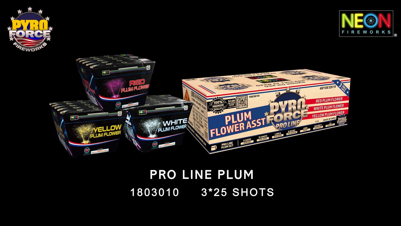 PRO LINE PLUM 500G Combo Case - Pyro Force Fireworks - YouTube