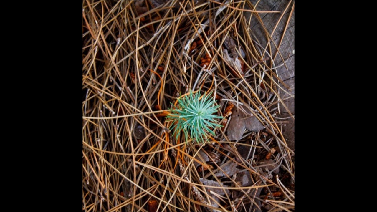 DJ Mizz SA - JC IV (Vaults) #ThrowBackThursday - YouTube