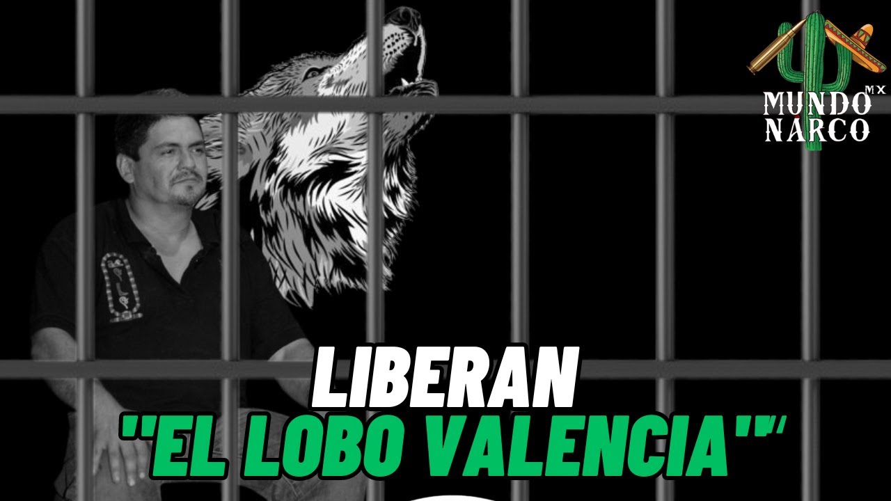 "Liberan a 'El Lobo Valencia' exlíder del Cartel del Milenio" - YouTube