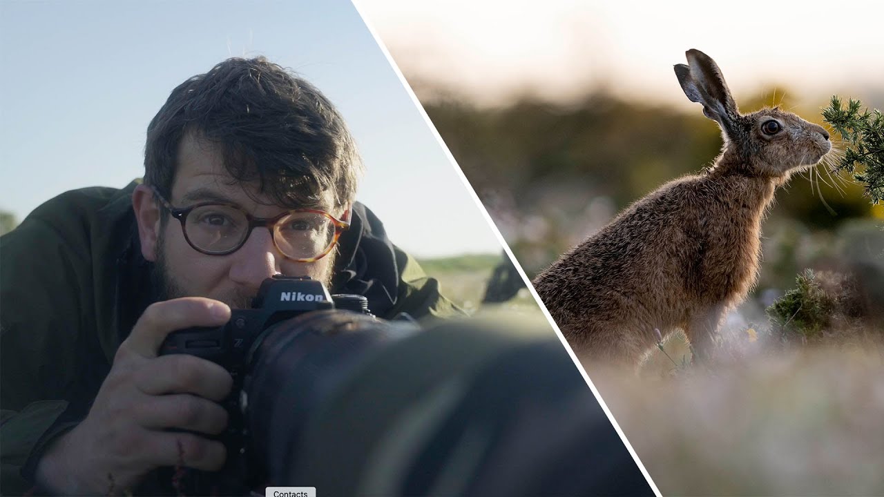 Nikon Z9 WILDLIFE PHOTOGRAPHY in the UK | Alone with Brown Hares ...