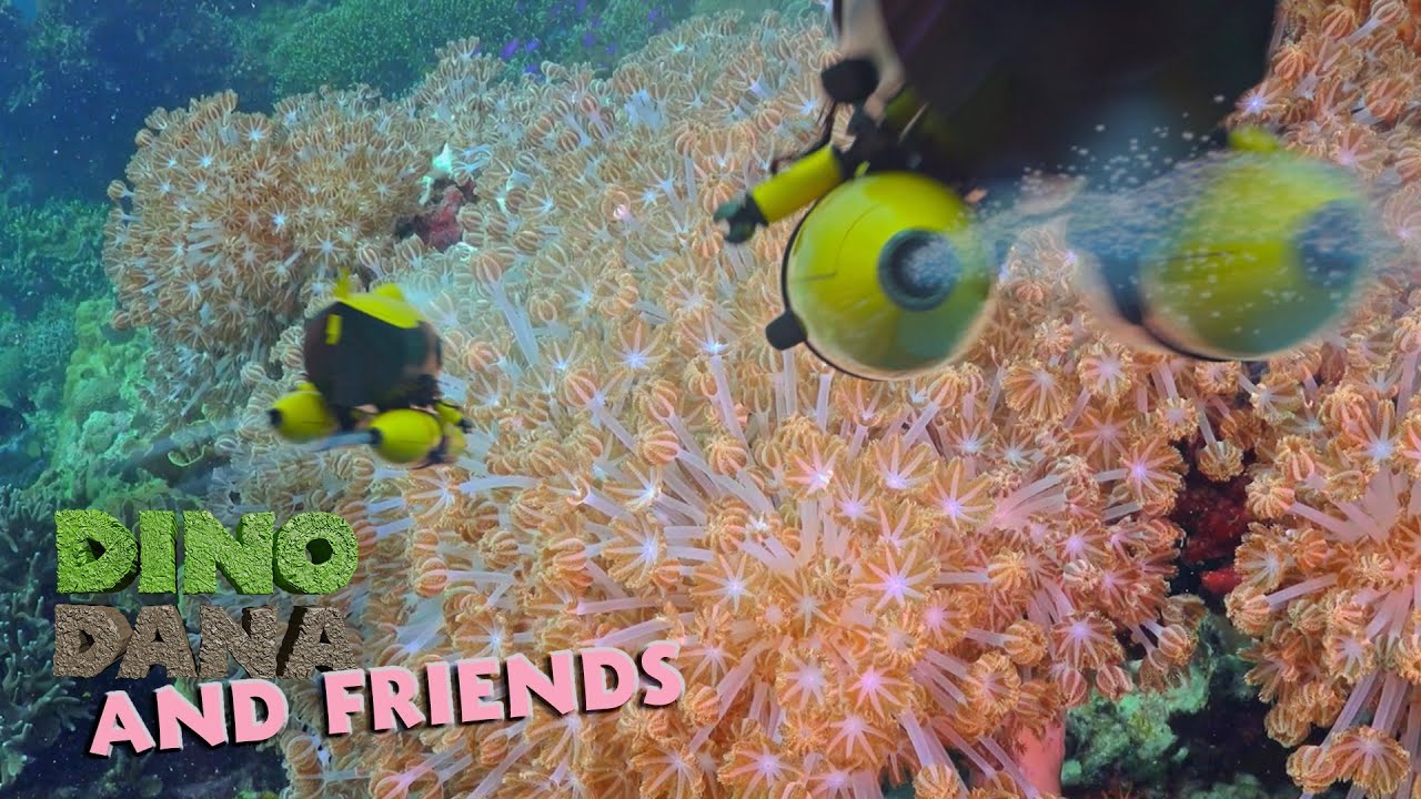 SAY IT WITH ME! | Jane | Season 2 | Apple TV+ - YouTube