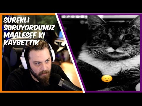 Elraenn - Naciye Hakkında Konuşuyor (Maalesef Kaybettik)