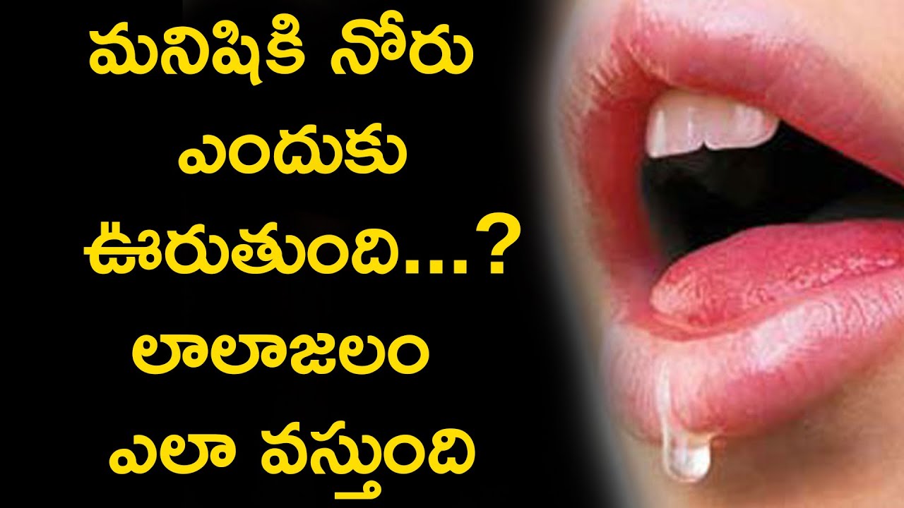 Lalajalam Enduku Vastundi That Is lalajalam-enduku-vastundi-that-is