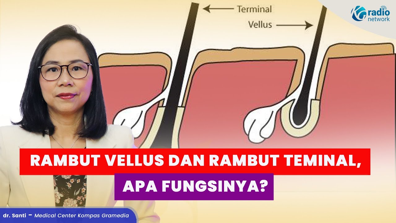 Kenalan dengan 2 Jenis Rambut yang Dimiliki Manusia - YouTube