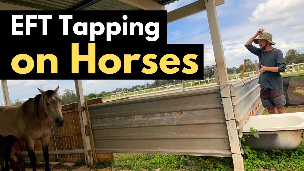 EFT Tapping on Horses - YouTube