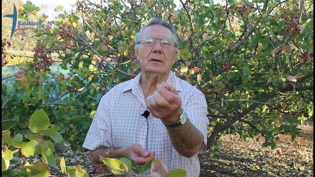 A Morning Devotion With Graham Lawrie, Balaklava Church of Christ - YouTube