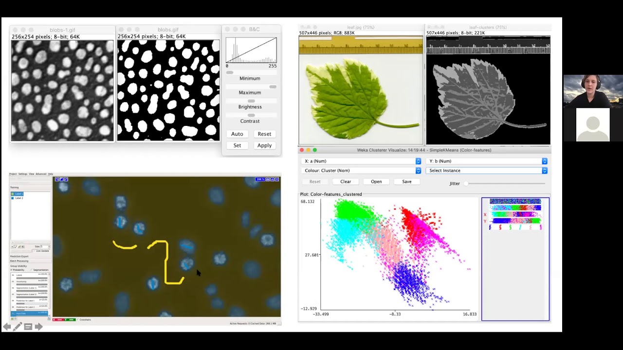 Using Pre Trained Ml Algorithms For Segmentation Youtube 7058