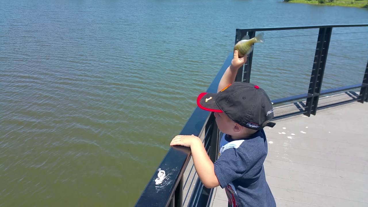 Learning to fish with daddy - YouTube