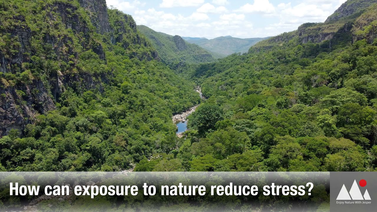 How exposure to nature help reduce stress - YouTube