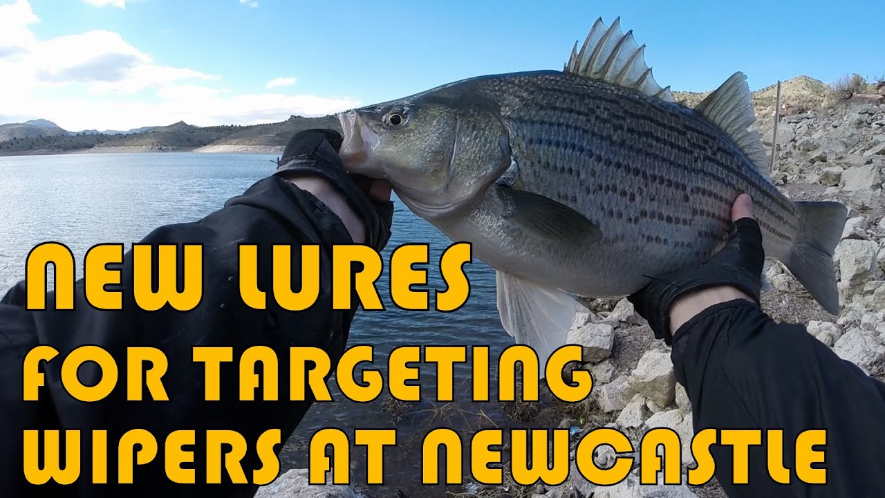 New Lures for Targeting Wipers at Newcastle Reservoir - YouTube
