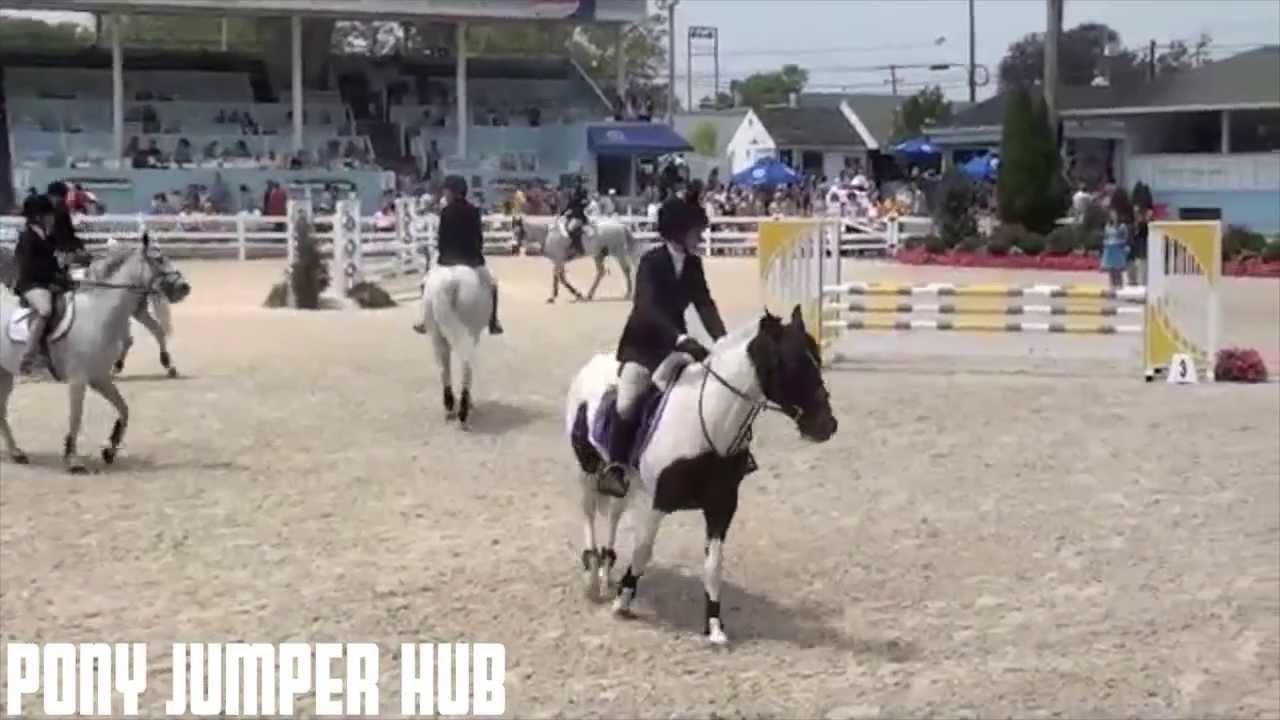 best moments in pony jumper history! - YouTube