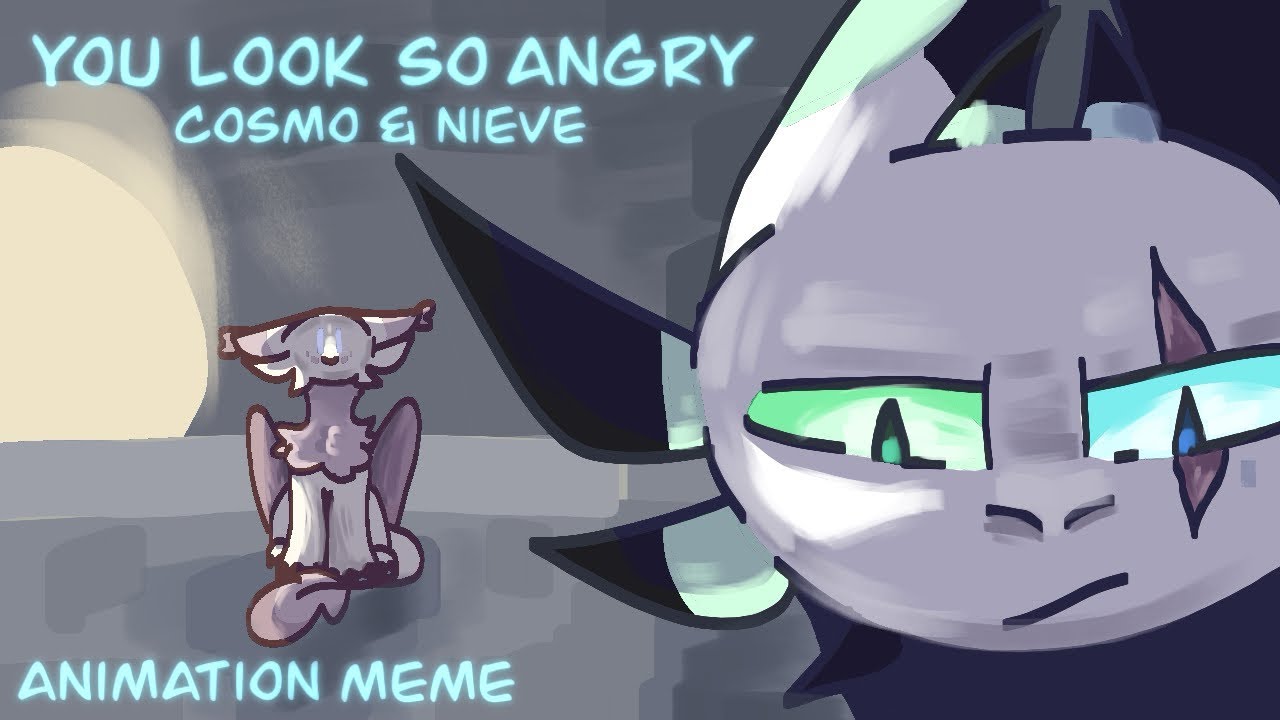 || You look so angry|| Cosmo & Nieve|| - YouTube