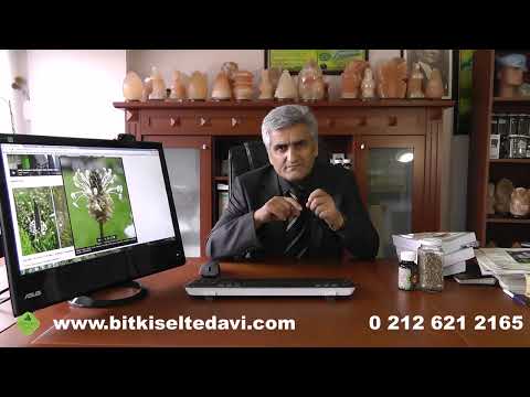 SİNİRLİ OT Forte, Bronşit, Öksürük, Kuru ve Tahrişli Öksürük, Nefesyolları Enfeksiyonu